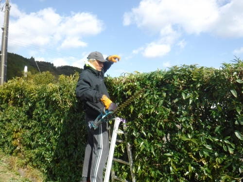 ★垣根切り⑤★ | クラインガルテン四万十★☆スタッフブログ☆★
