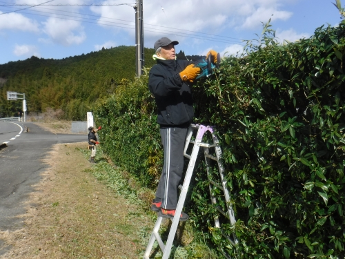 ★垣根切り⑤★ | クラインガルテン四万十★☆スタッフブログ☆★
