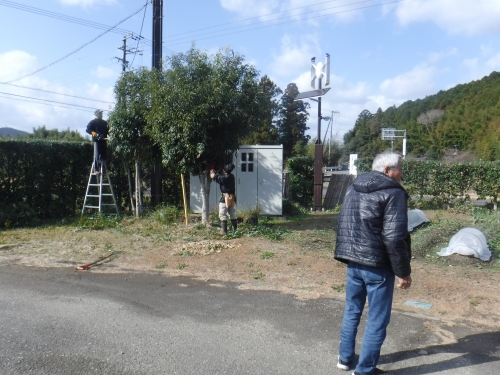 ★垣根切り⑤★ | クラインガルテン四万十★☆スタッフブログ☆★