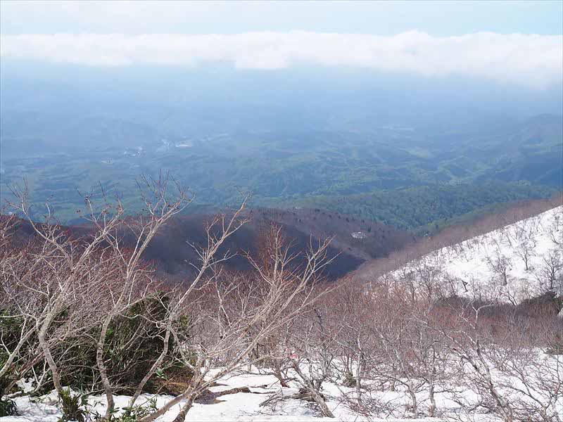 酔いどれ 画像掲示板