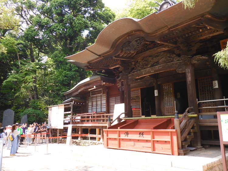 深大寺で野生のフクロウ（幼鳥）に遭遇！モフモフで可愛い〜‼︎〈深大寺・元三大師堂&本堂の野鳥 2024〉 | K U R A D A S H I