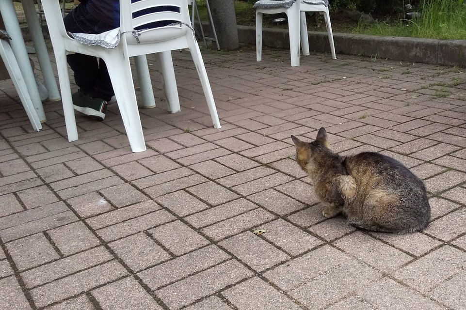 今日はラーメンの気分 | わぁくわぁく浅香へようこそ