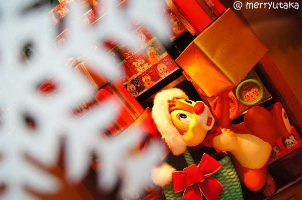 栗鼠3たち | Merrily