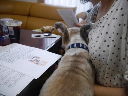 りょうちゃんトライアル開始 | ちばたりあんな