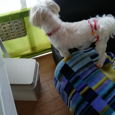 絶対にからかいに来てると思う | ちばたりあんな