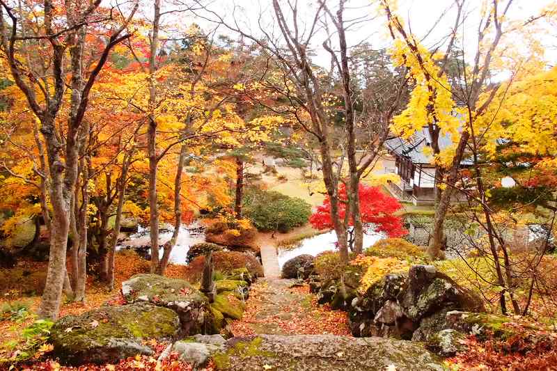 紅葉ツーリング for MINI | Garage blog