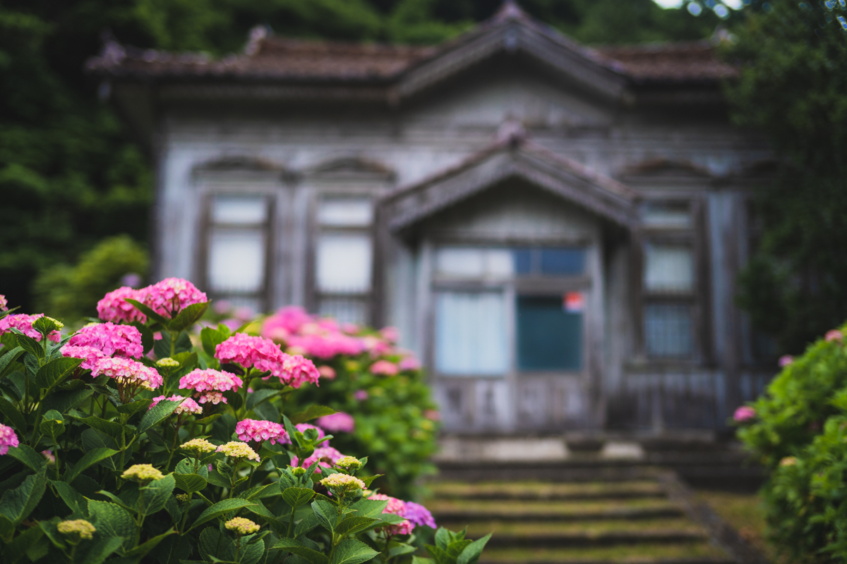 2021年06月28日の記事 | 佐渡の四季+α