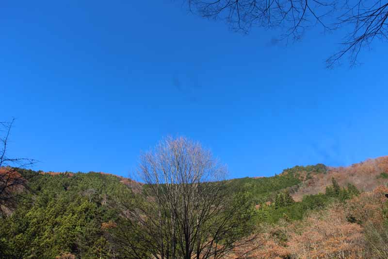 小菅トラウトガーデン ブログ