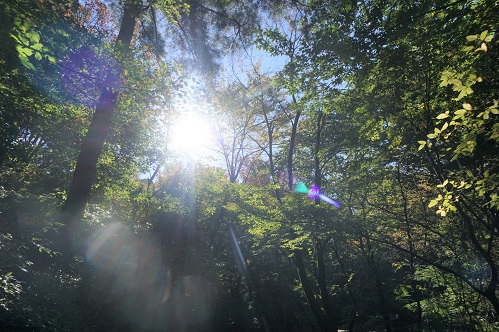 園外保育 年長 ～臥竜山～ | 若穂幼稚園 DIARY