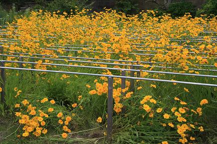 水郷 潮来の旅 その14 野口雨情の詩碑 と 手焼せんべい | 質素な写真展示室