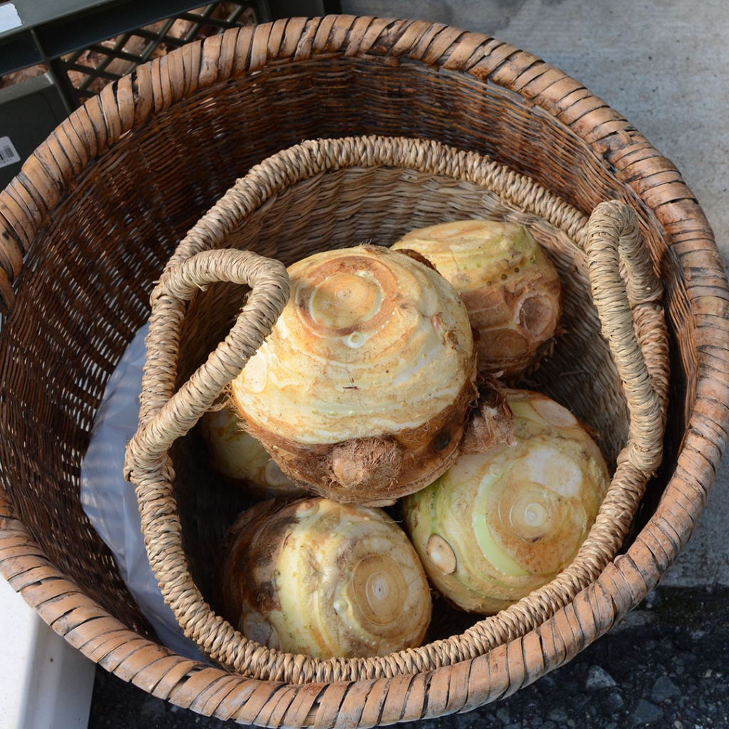 Pull Push Products. | News