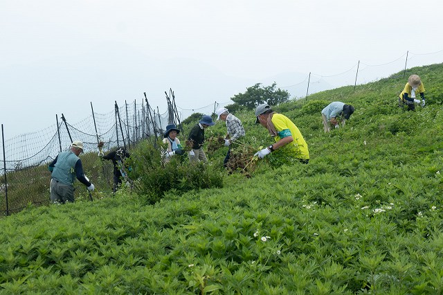 保全作業の報告です | 伊吹山もりびとの会ブログ2