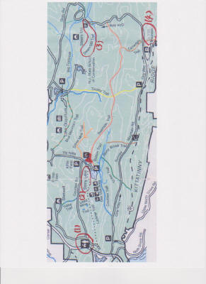 私のおすすめ自然歩きスポット（ニューヨーク郊外シリーズ4） ストーク州立森林 その1 | 藤波レポート