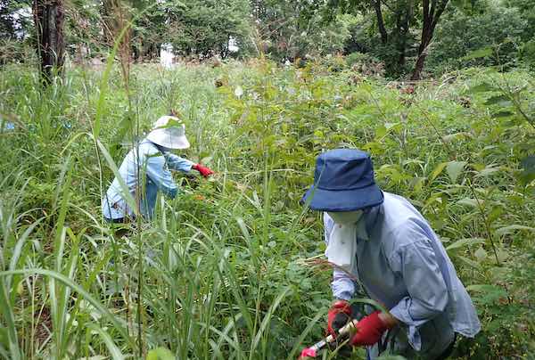 雨は上がったはずが… | 青柳庵日記