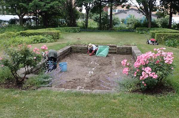 雨に当たらず | 青柳庵日記