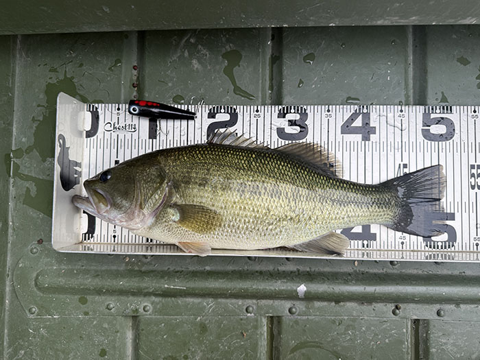 50up釣果報告 | for a dramatic life.