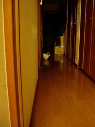 MIKE ABELSON Fish Mouths from ECRIT | 信愛書店 en=gawa