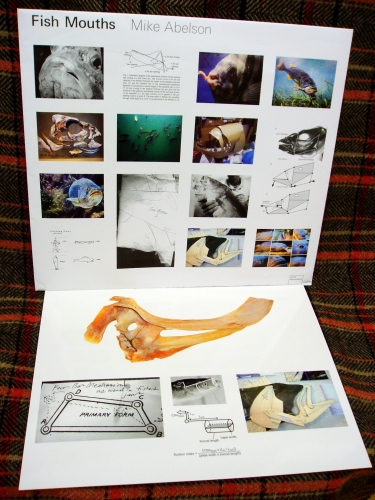 MIKE ABELSON Fish Mouths from ECRIT | 信愛書店 en=gawa