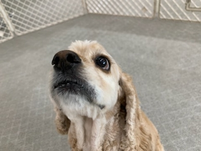 ☆今日のまつばら教室☆ | ほき動物クリニック