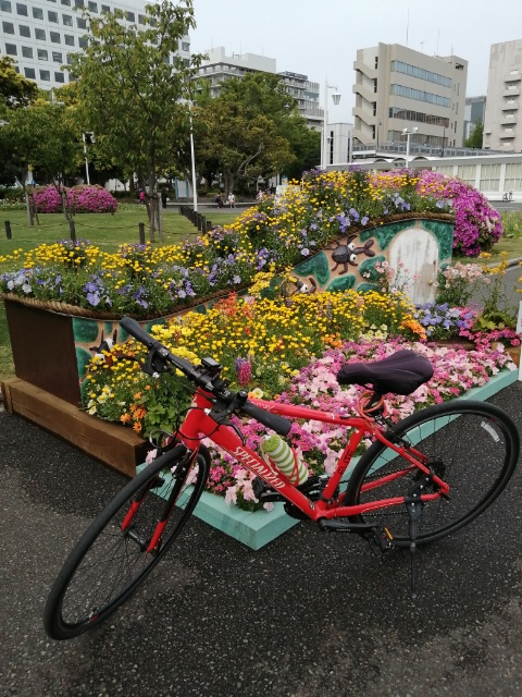 山下公園＠自転車 | BLOG☆mo-chan.com