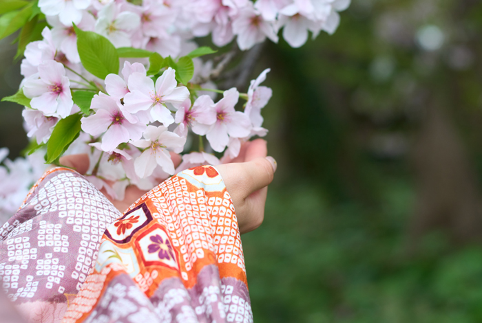 Sakura portrait! | Kai photography