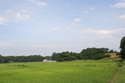 千葉県佐倉市で街歩き～お城に行こう・佐倉城址と本佐倉城 | 日本の街並みと鉄道のコレクション
