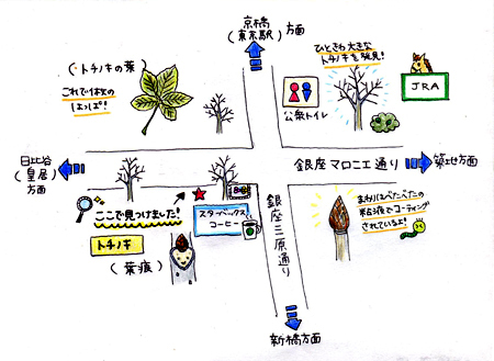 寒さに負けずニッコリ！ 銀座の自然しらべvol.3 | NPO法人 森の学校 since1993 school of the forest