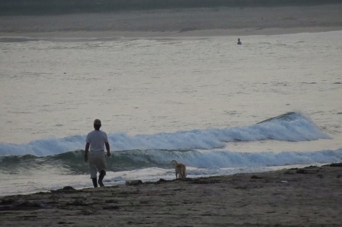 夏の御宿 | BEACH BOYS CLUB オフィシャルブログ