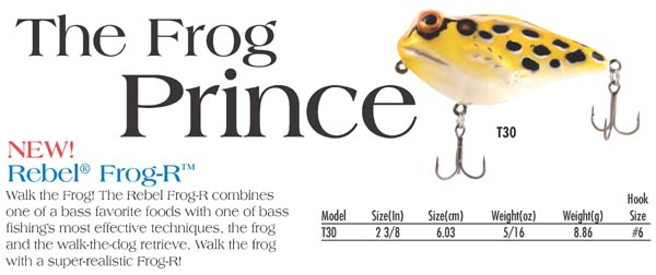 REBEL FROG-Rのカラー | SAVAMブログ