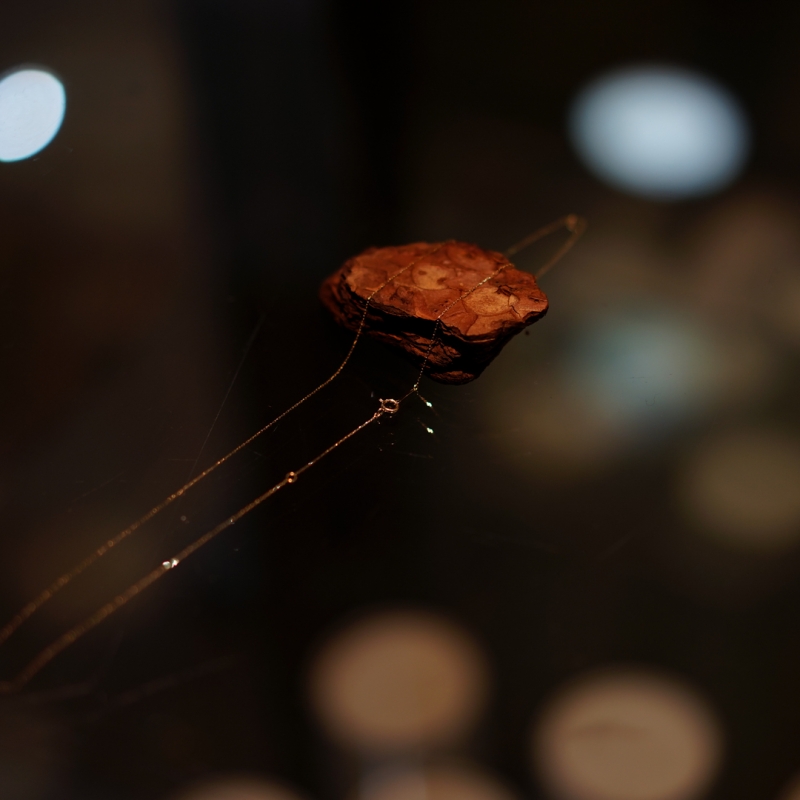 EXCLUSIVE BALUCA別注/Tetsuya Fujimoto by NEEDIS×verona /Yellow Gold ...
