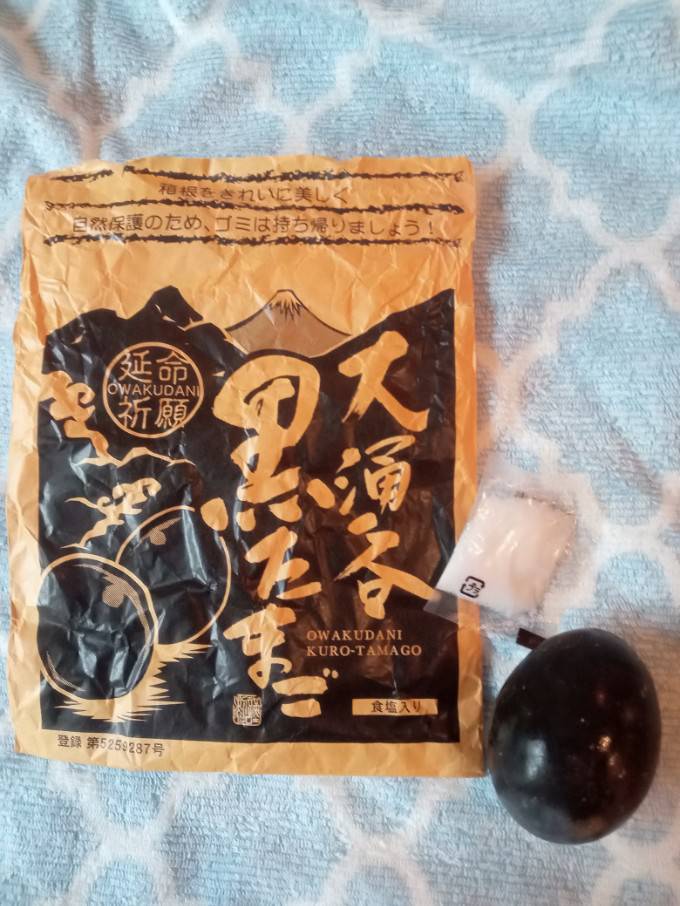 大涌谷の黒卵を食べたよ。 | Aotora | 青虎鍼灸療院