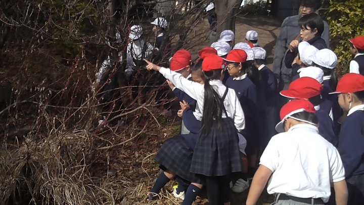 今の季節は、毛皮かコートか？ | なぎさ公園小ブログ