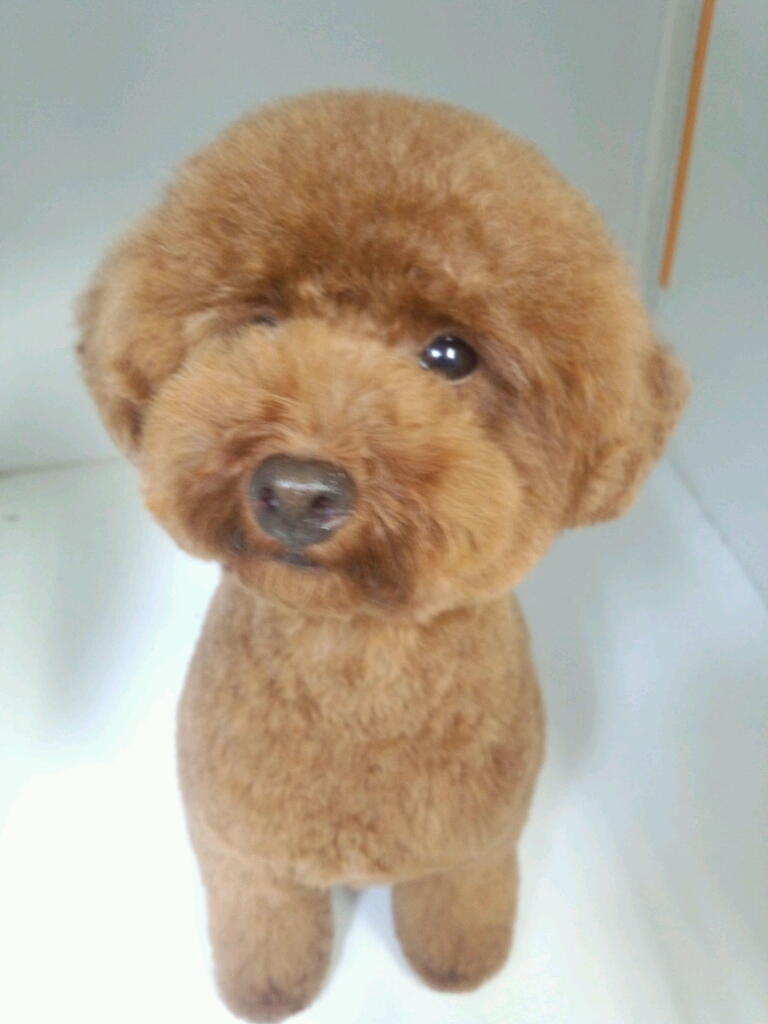 アフロ女子♪ | one two Skip