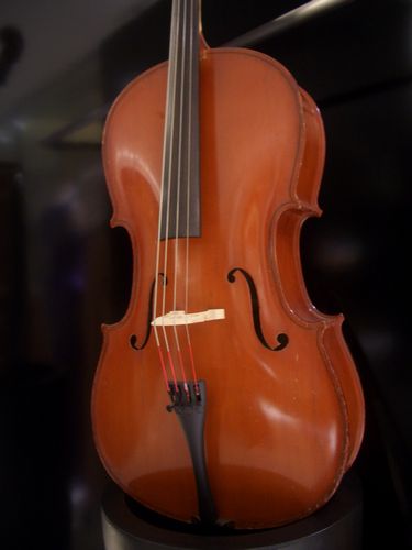 1/2 size Cello | 福岡の弦楽器店 BOTTEGA SERPENTUVA