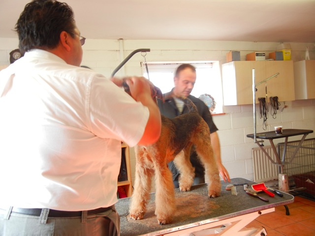 テリアの王国。SAREDON KENNEL UK. | Clumber Up News