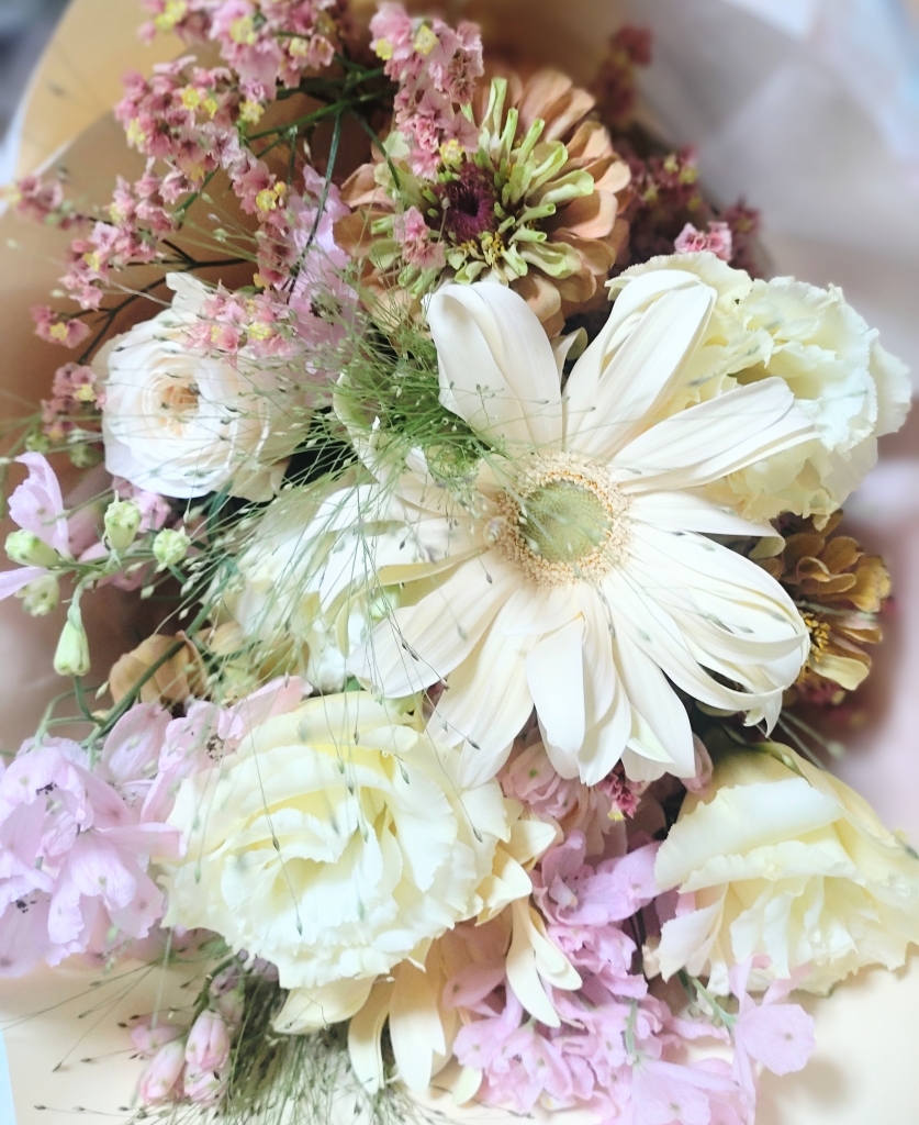 団員インタビュー2025 その16 | ムジークテアター・TOTTORI