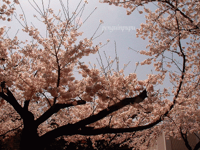 焦がれる想い | ぷぷの幻想美術館