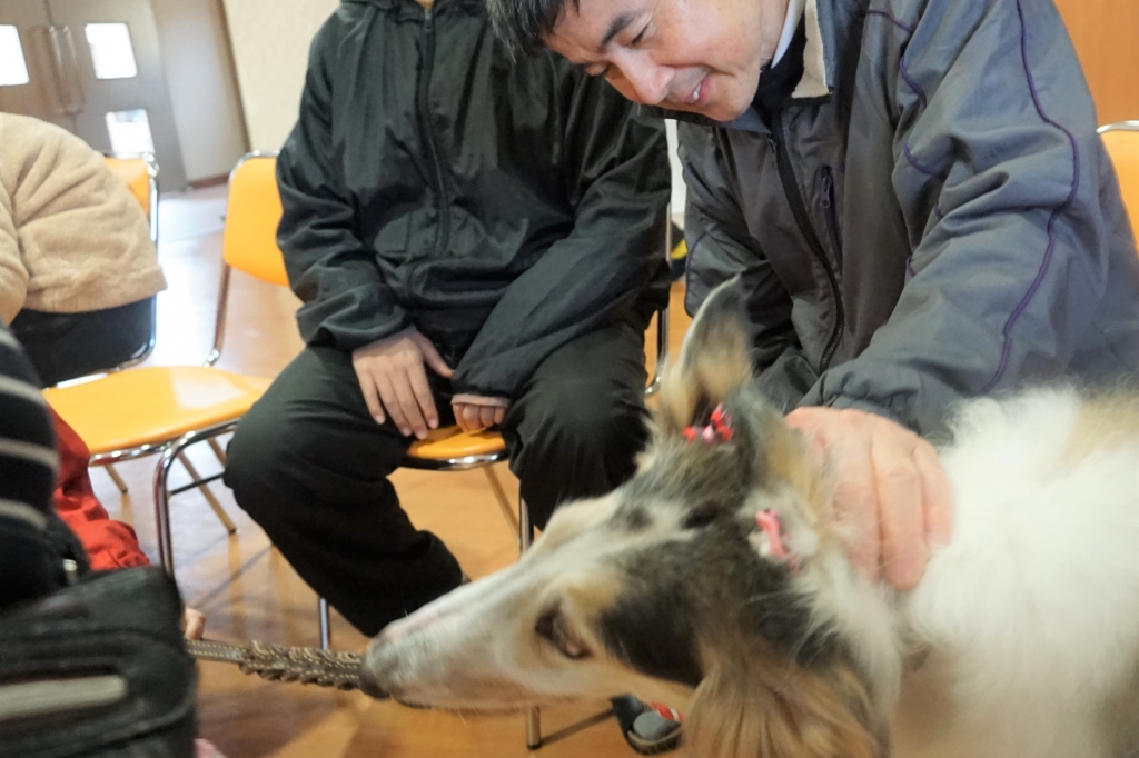 ベテランドッグ「パール」 | ひがしうらの家NEWS