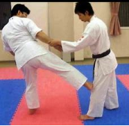 Fukuoka Martial Arts Story 19 White Crane Fist 2 | 無意識との対話 Dialogues ...