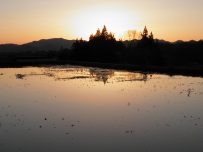 みつがいちブログ