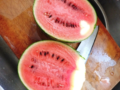 小玉スイカ | しふぉんのわっか