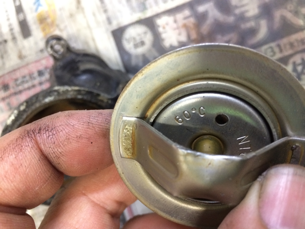 山Mさんニンジャドック6 | マーベラス折目のブログ