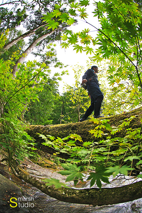 complete 2013 | stream sence. numa's diary