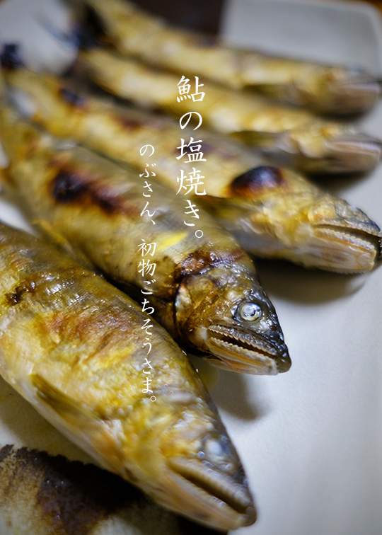 鮎釣り解禁 | stream sence. numa's diary