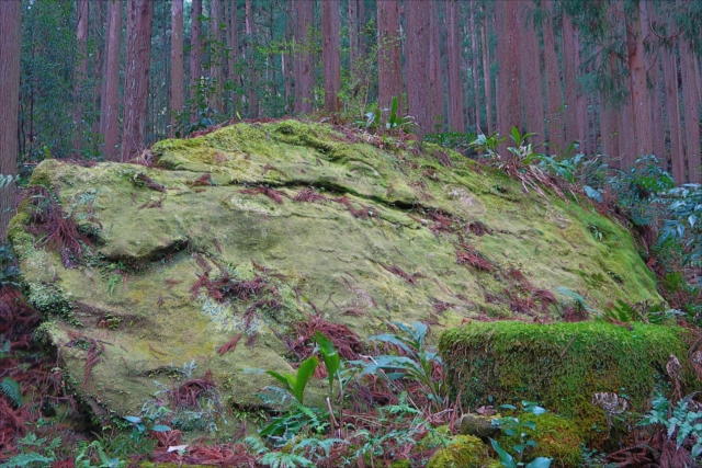 連峰雲起＜熊野古道 大雲取越 円座石～小雲取越 百間ぐら＞ | 楽人の山歩道