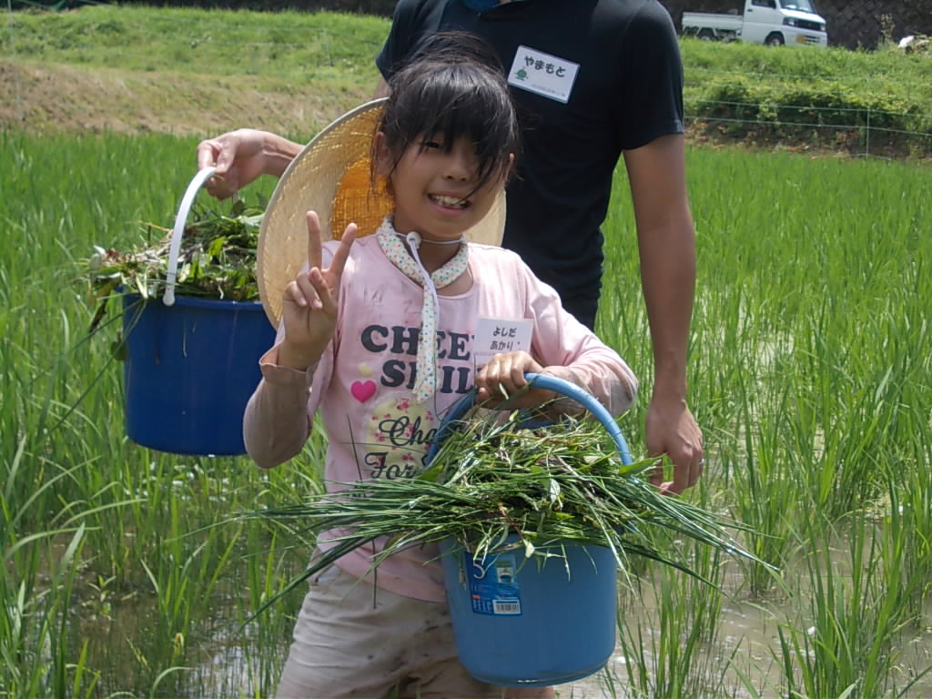 尼崎から約30名が草取りと川遊び、アマゴの塩やきも！ | 棚田LOVER's日記