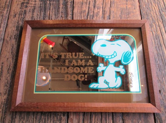 1968’S Vintage Peanuts Gang Sunday Comic Poster | インディヒナブログ | AMERICAN ...
