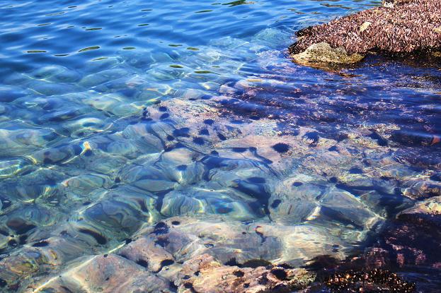 磯遊び (うちの教会のリトリートin積丹) | こころの色いろいろ