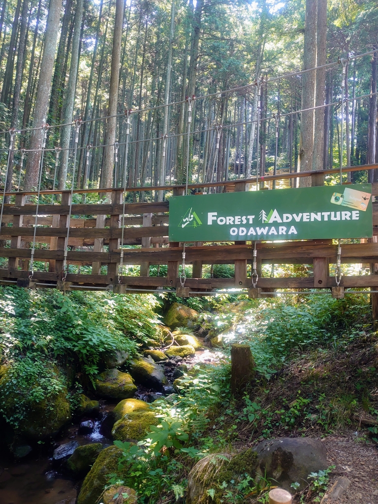 【小田原】駐車場ご利用について | Blog Forest Advetnture ODAWARA