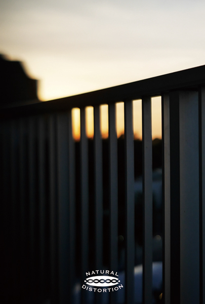 A Happy New Year 2016 | Natural Distortion Blog｜ナチュラルディストーションブログ